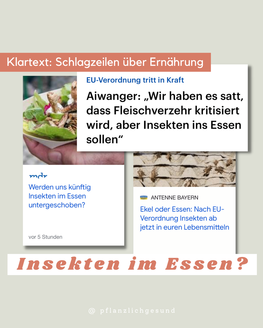 Insekten jetzt im Essen? - Pflanzlich Gesund | Nina Schneider